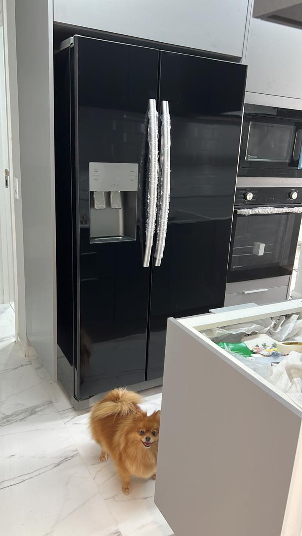 Geladeira Electrolux RFE39 Frost Free com | Casas Bahia